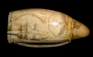 Scrimshaw: True American Art | DailyArt Magazine