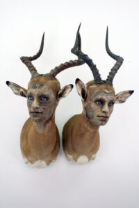 From Specimen to Taxidermy in Art | DailyArt Magazine