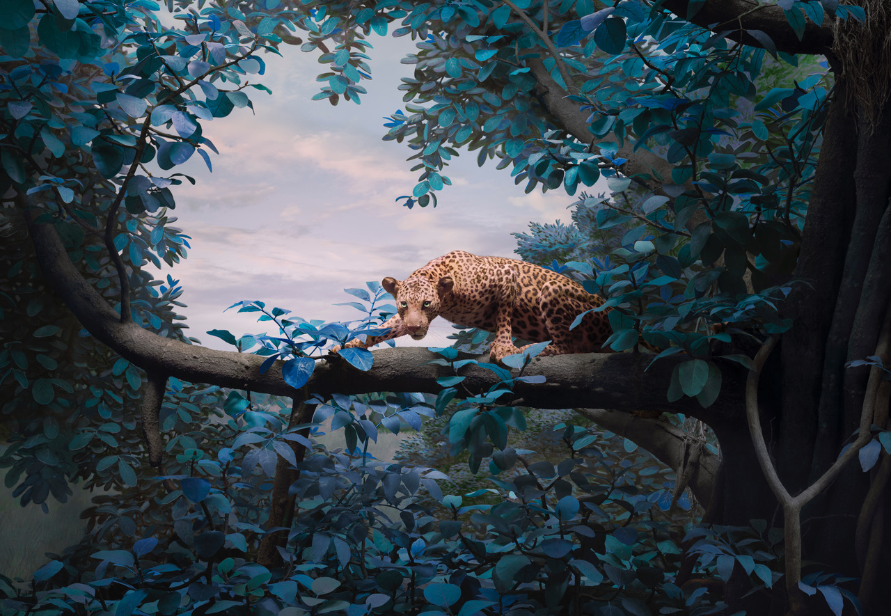 Interview with Artist Orlanda Broom | DailyArt Magazine | Art History