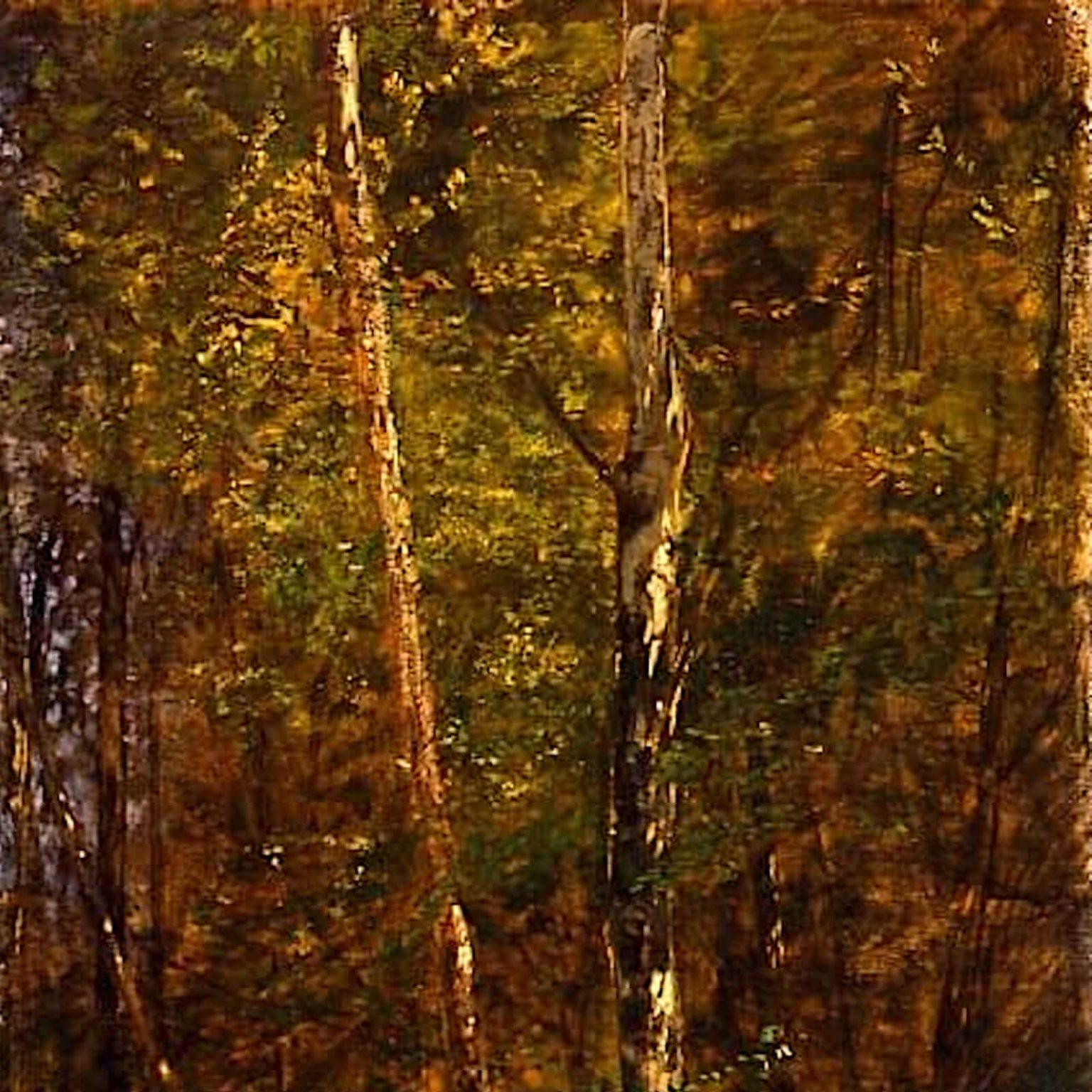 Forest near Schärfling by Emil Jakob Schindler | DailyArt Magazine