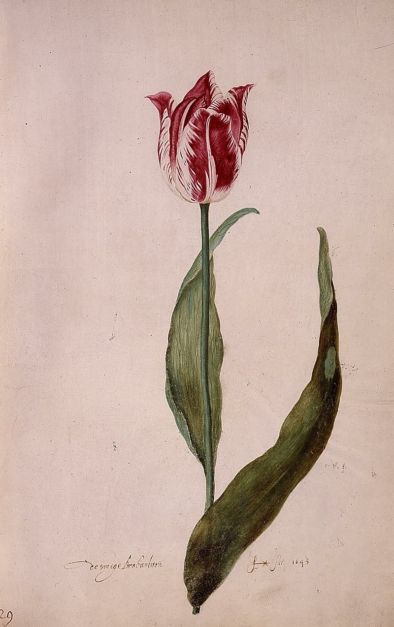Judith Leyster: Star of the Dutch Golden Age | DailyArt Magazine