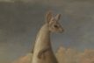 Into the Wild: Peaceful Animal Paintings | DailyArt Magazine