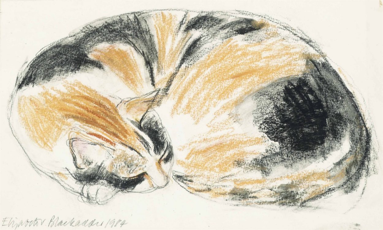 Elizabeth Blackadder's Cosy Cats | DailyArt Magazine