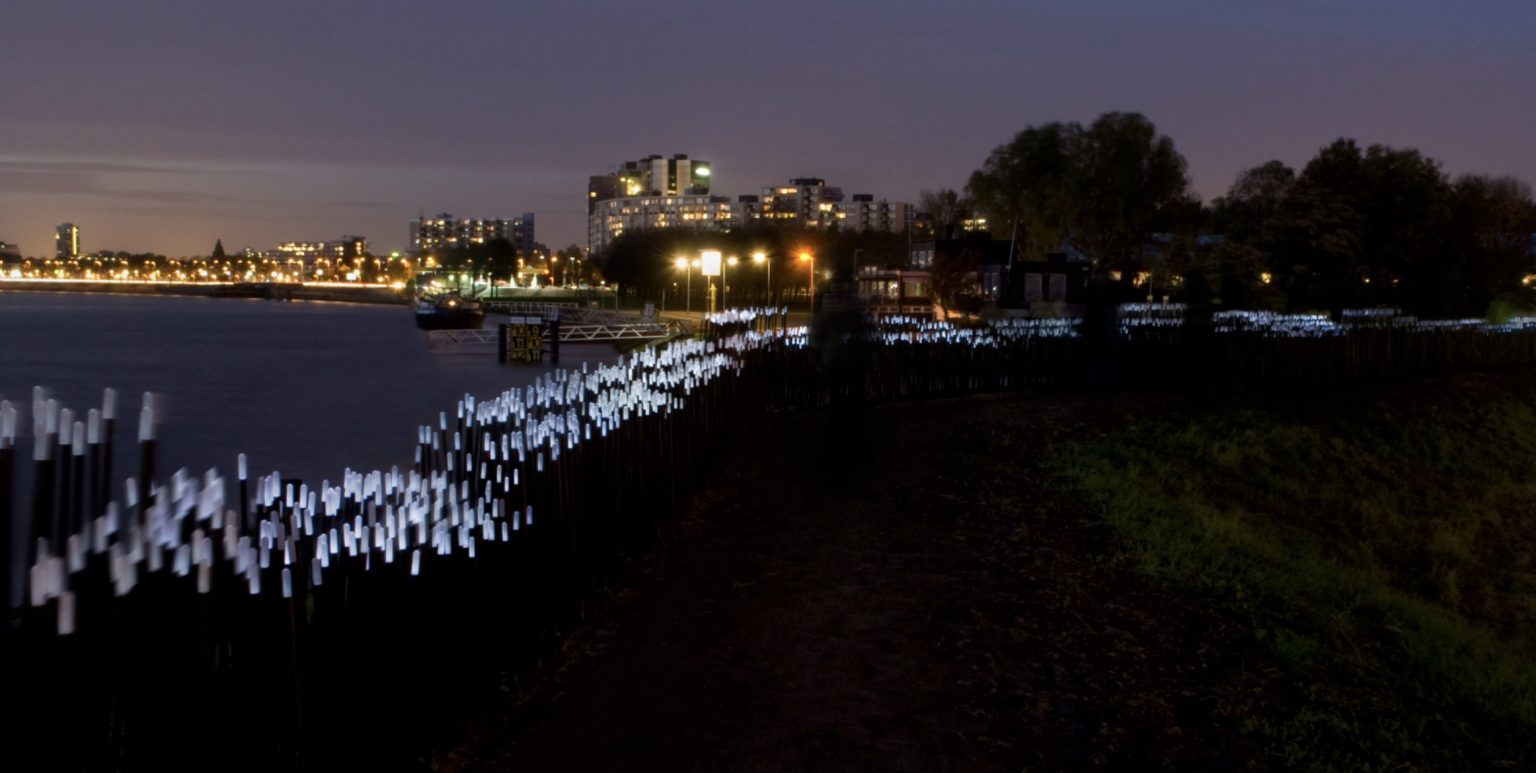 Studio Roosegaarde's Installations in Tampa | DailyArt Magazine