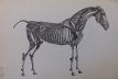 Masterpiece Story: Whistlejacket by George Stubbs | DailyArt Magazine
