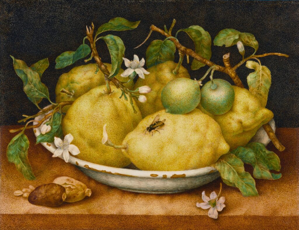 Famous Lemons in Art