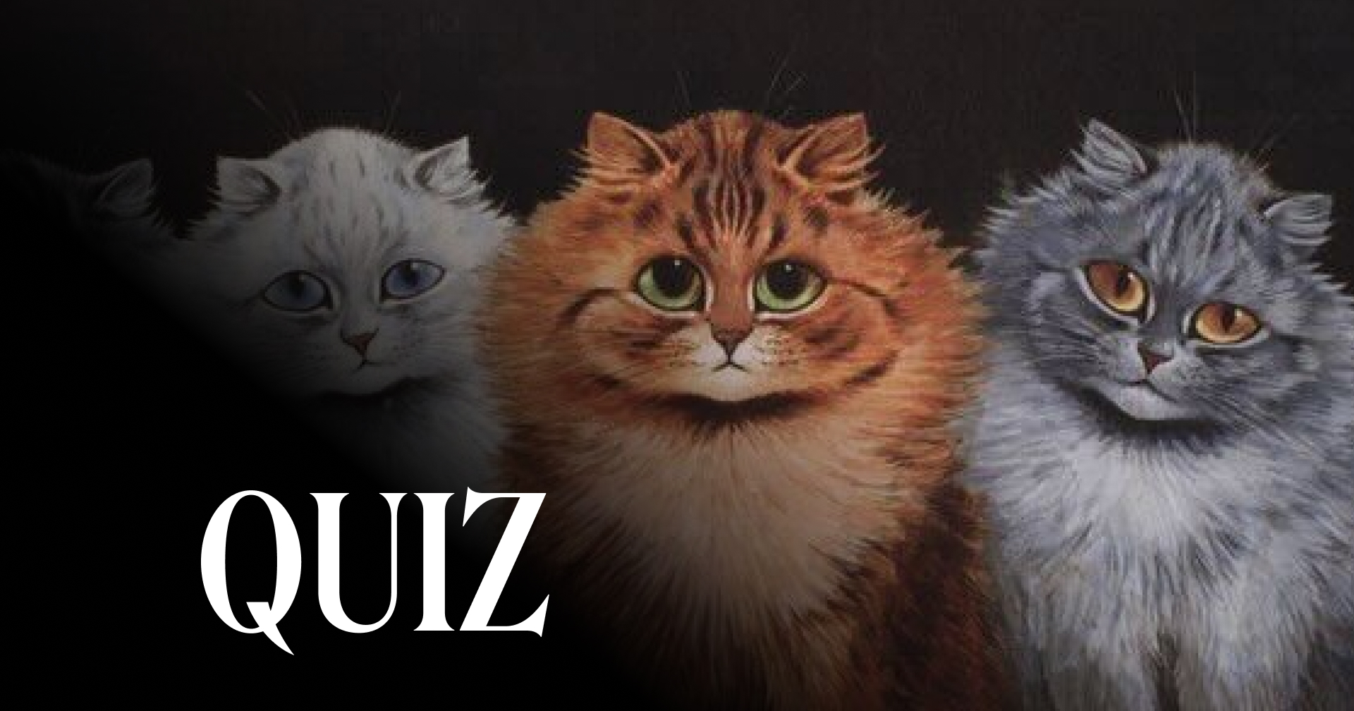 Challenging QUIZ for Cat Lovers. Few Can Get All The Answers Correct!