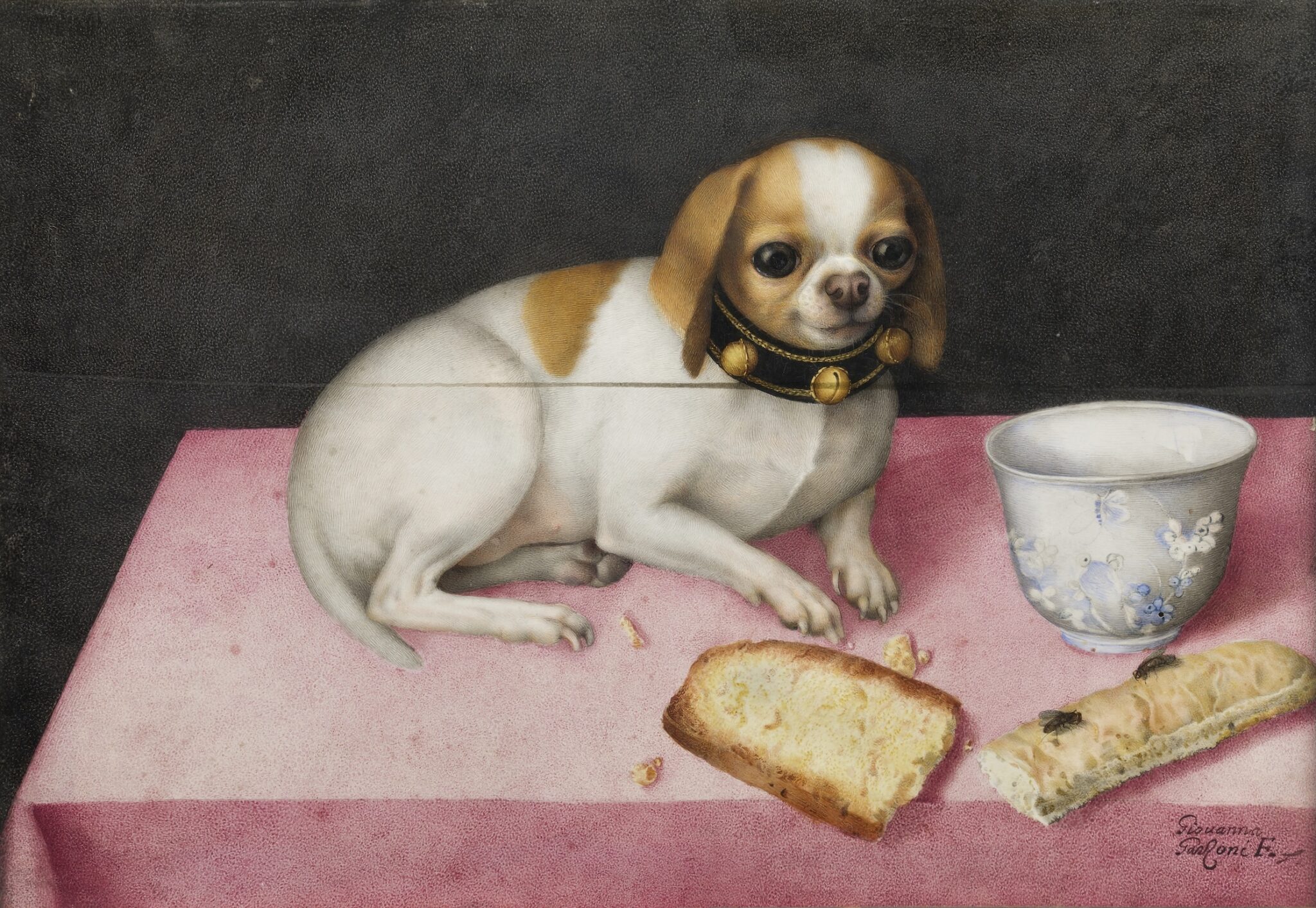 Giovanna Garzoni: A Life of a Still-life Expert | DailyArt Magazine