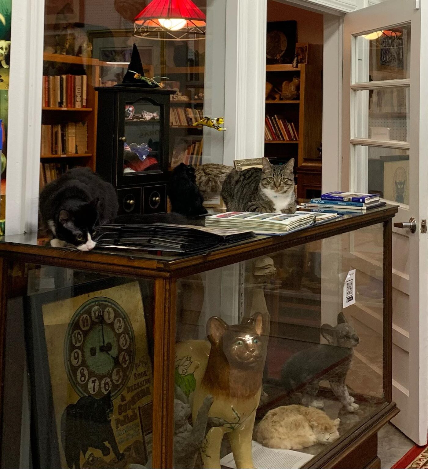 The Best Cat Museums Around the World: A Complete Guide