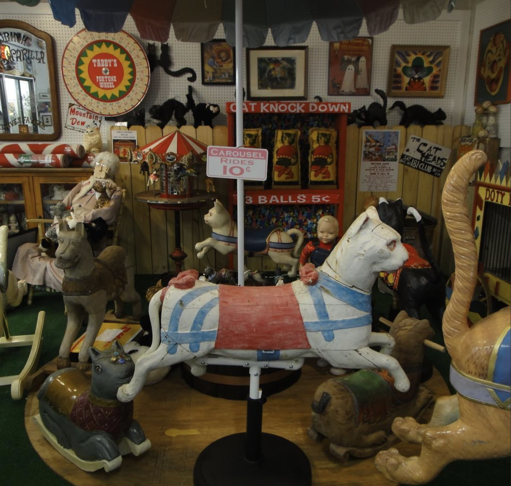The Best Cat Museums Around the World: A Complete Guide