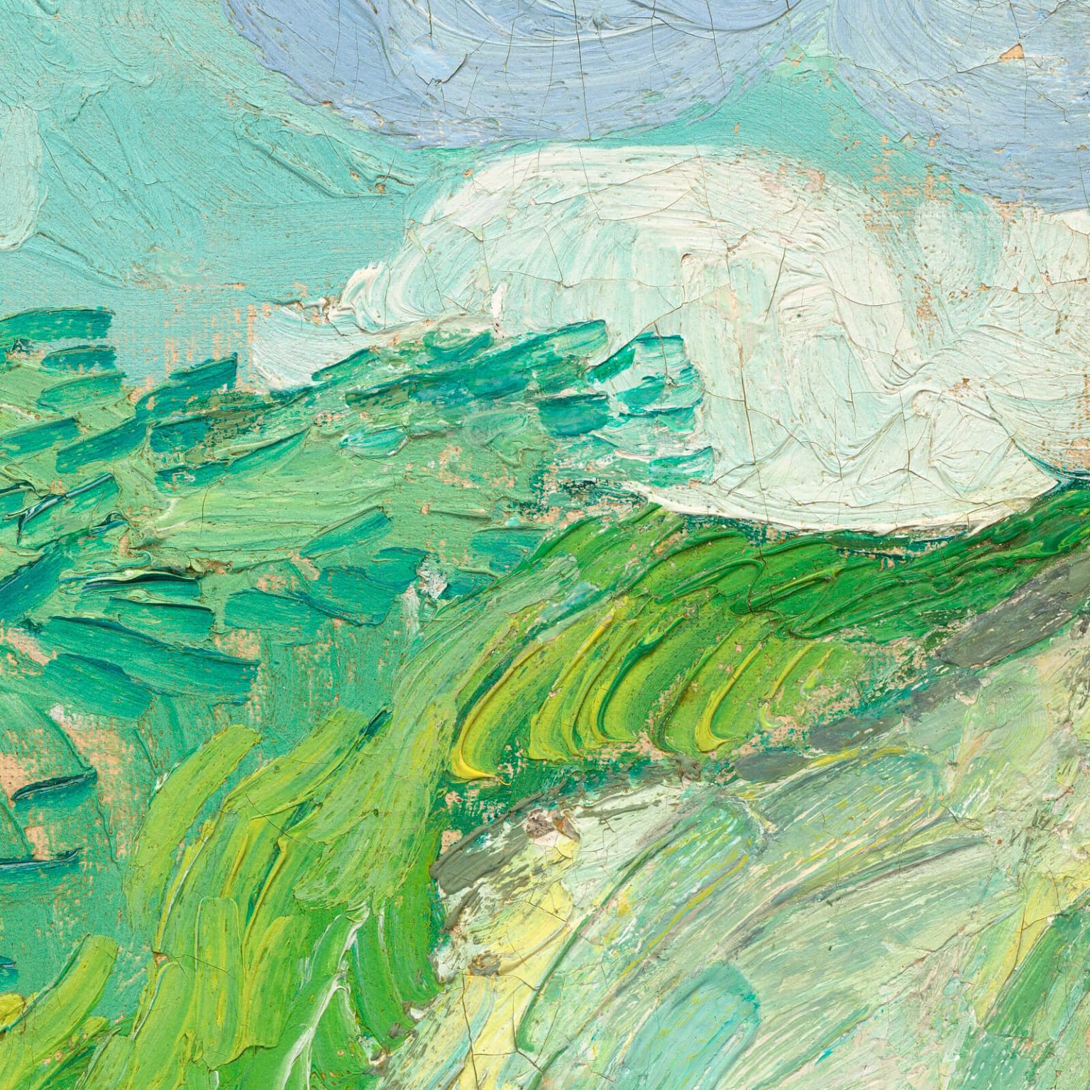 Green Wheat Fields, Auvers by Vincent van Gogh